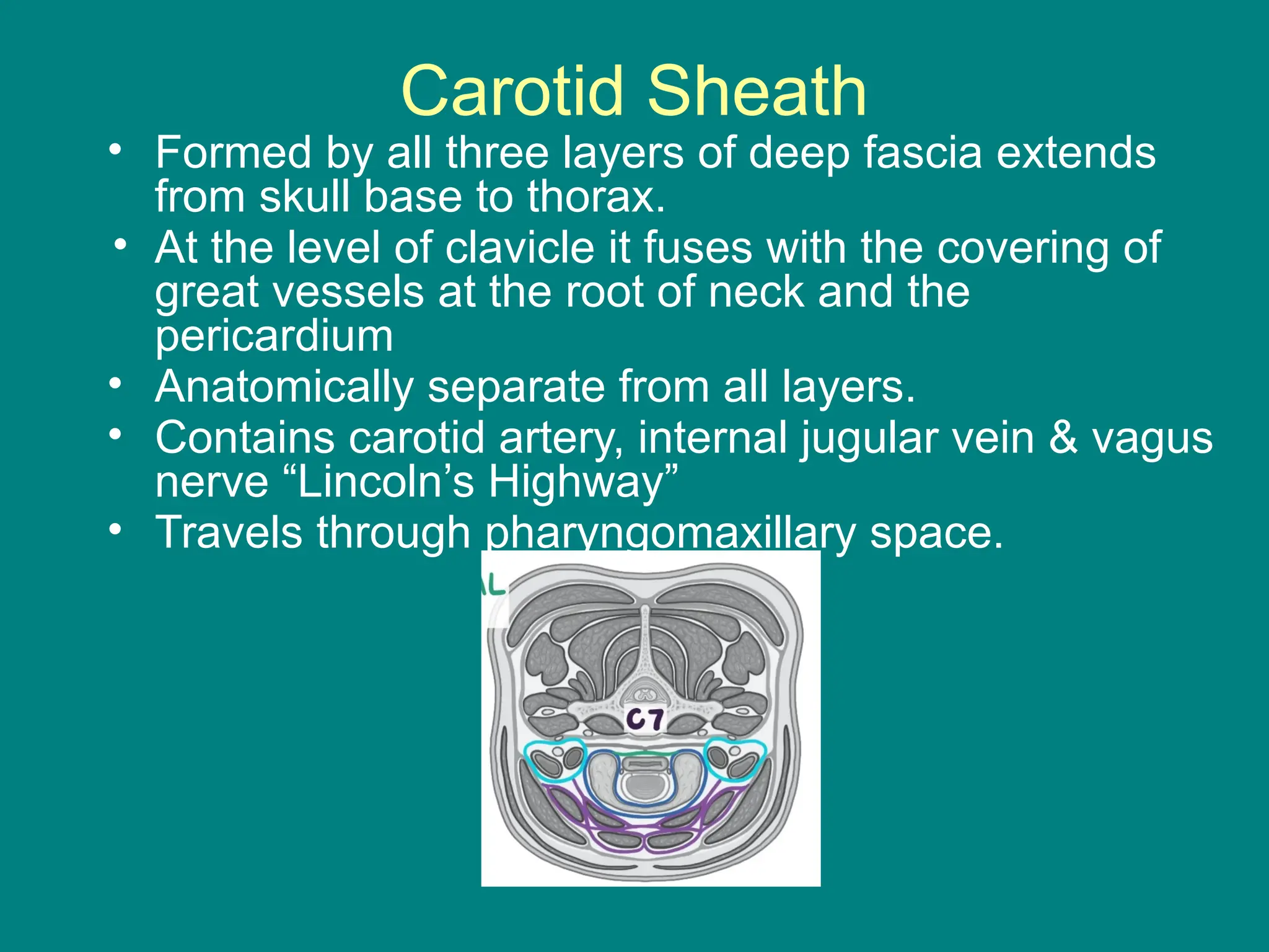 Deep space neck infection . | PPTX