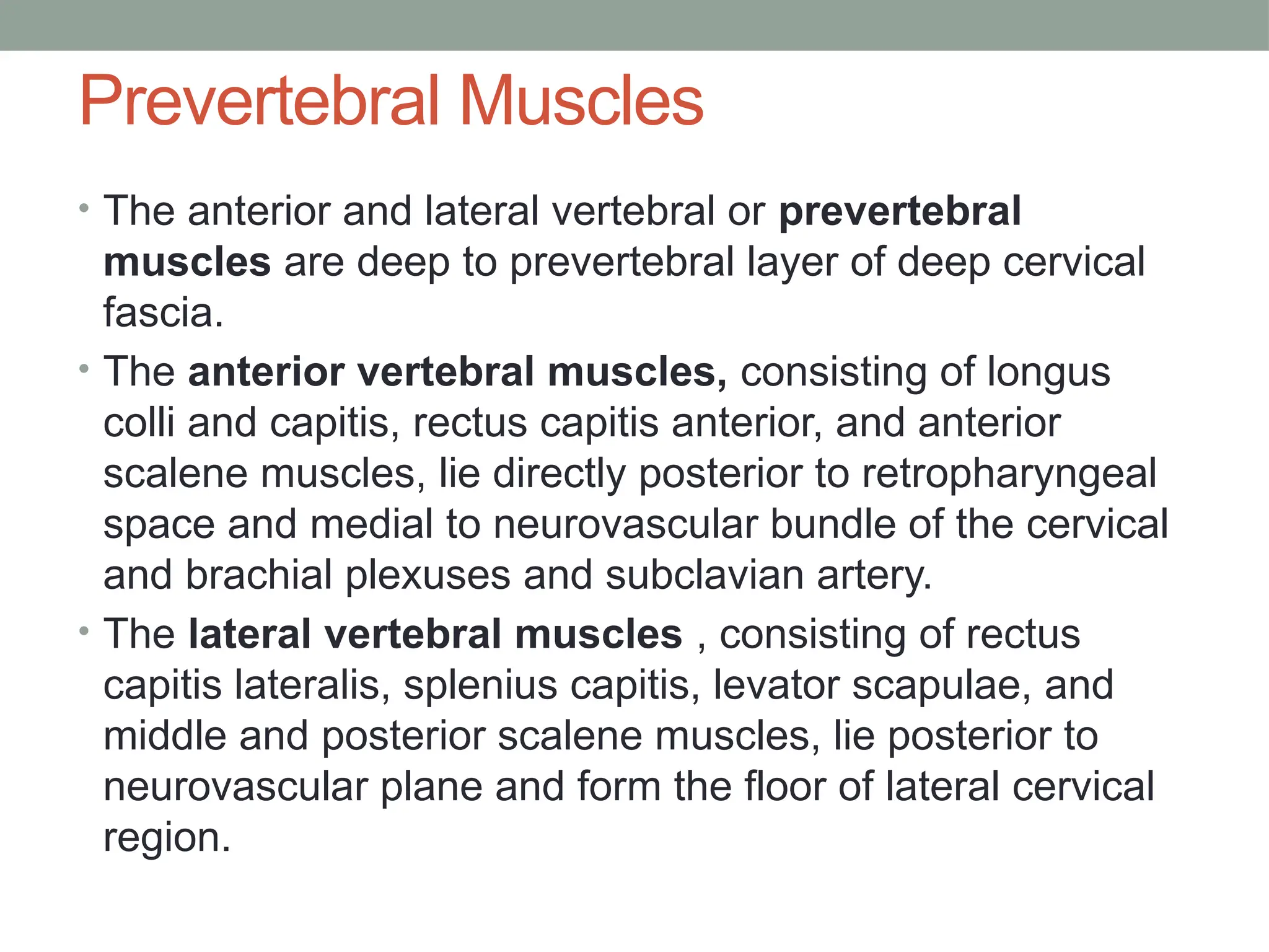 Deep structures of Neck (head and neck gross anatomy) | PPTX