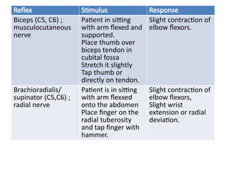 learn practical deep tendon reflexes.pptx