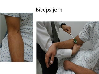 learn practical deep tendon reflexes.pptx