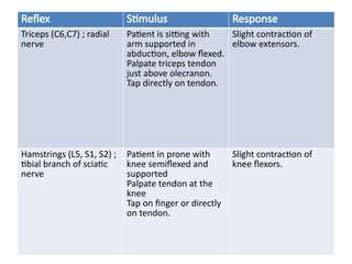 learn practical deep tendon reflexes.pptx