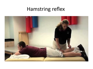 learn practical deep tendon reflexes.pptx