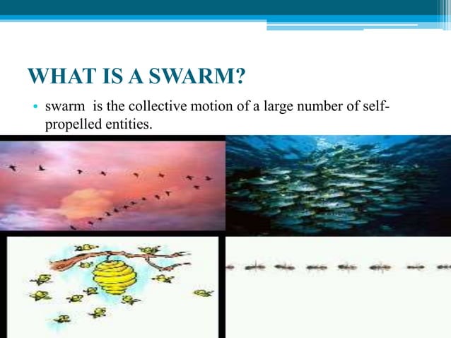 swarm robotics | PPTX