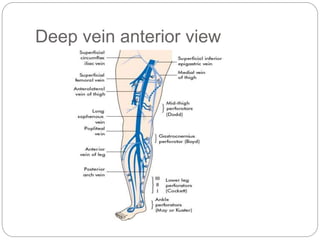 Deep vein thrombosis | PPTX