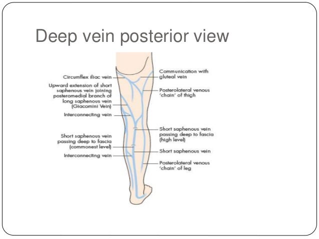 Deep vein thrombosis