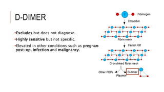 Deep Vein Thrombosis | PPT