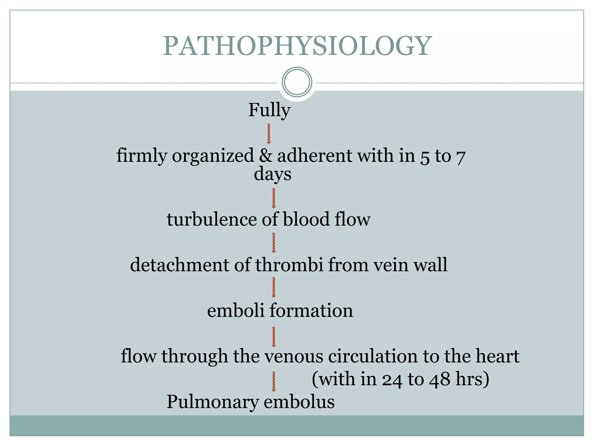 DVT (Deep vein thrombosis) | PDF