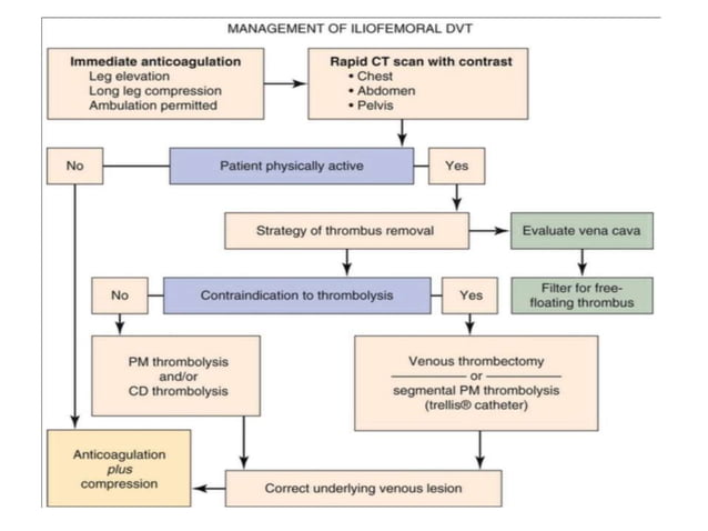 Deep venous thrombosis ppt | PPTX | Blood Disorders | Diseases and ...