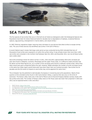 Four Years Into the Gulf Oil Disaster: Still Waiting for Restoration | PDF