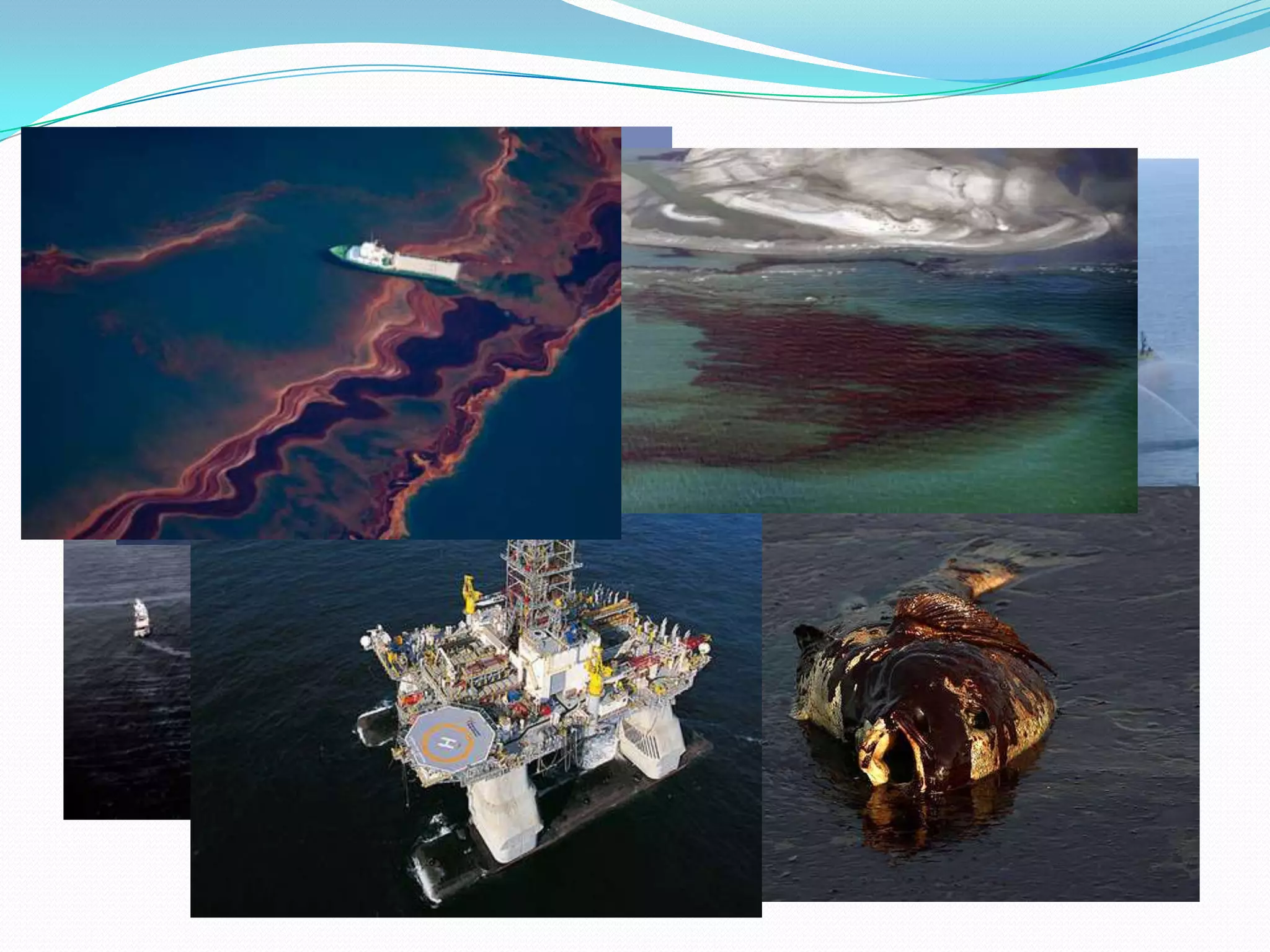 Deepwater horizon | PPTX | Environment | Science