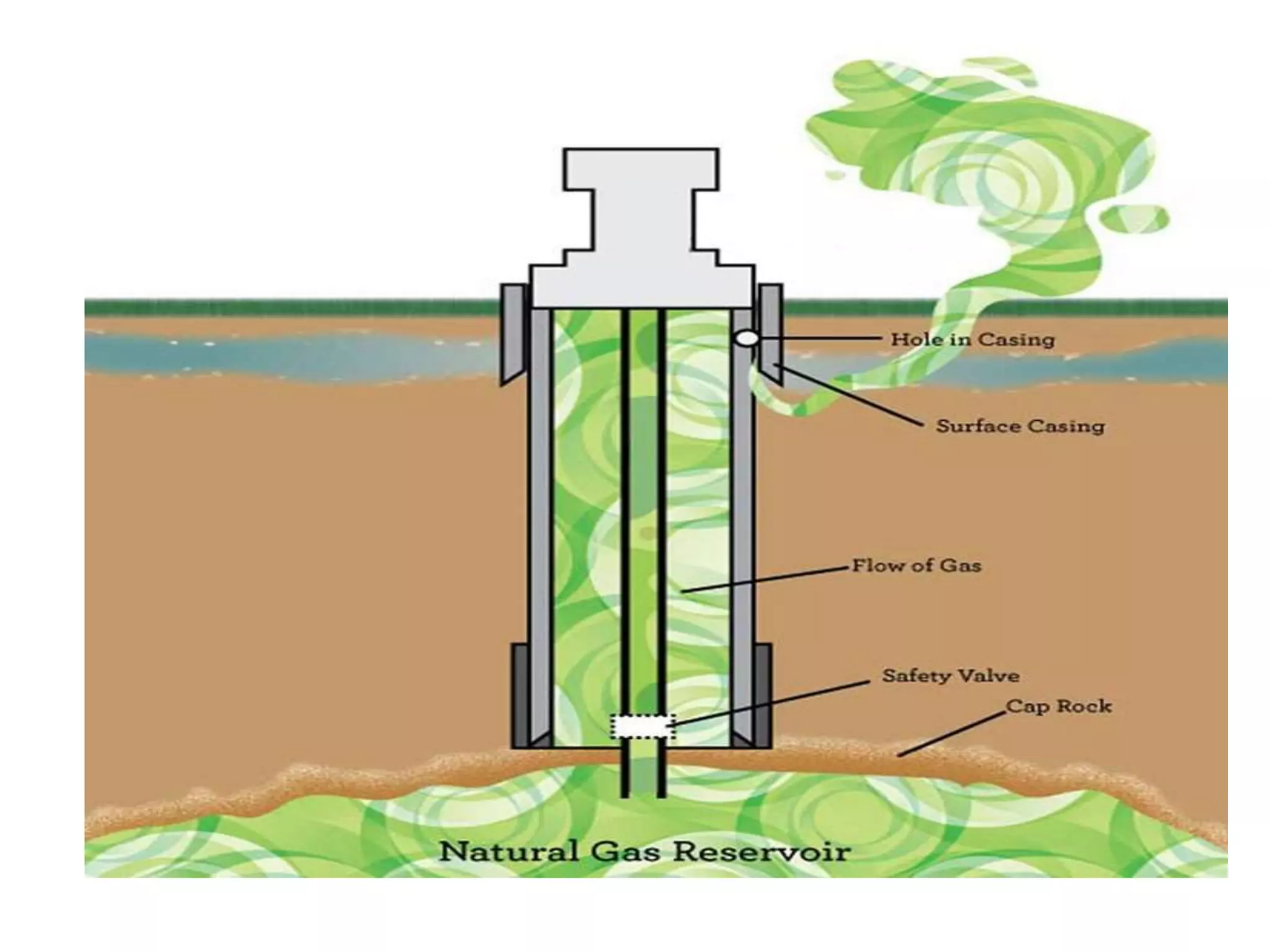 Deep water horizon oil spill | PPTX