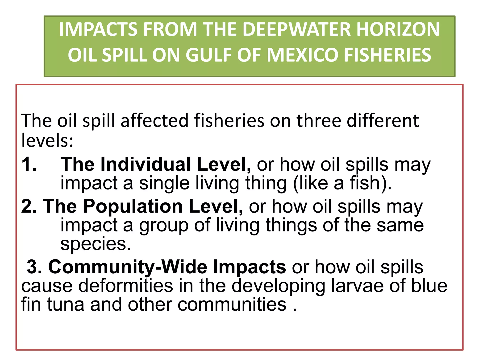 Deep water horizon oil spill | PPTX