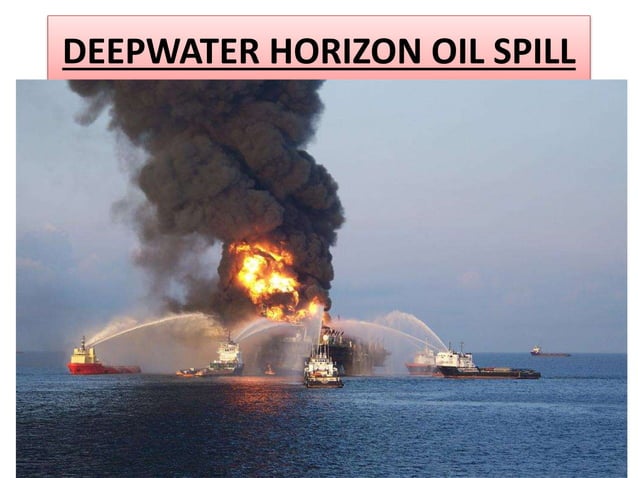 Deep water horizon oil spill | PPTX | Zoos & Aquariums | Attractions