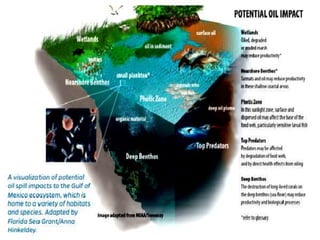 Deep water horizon oil spill | PPTX