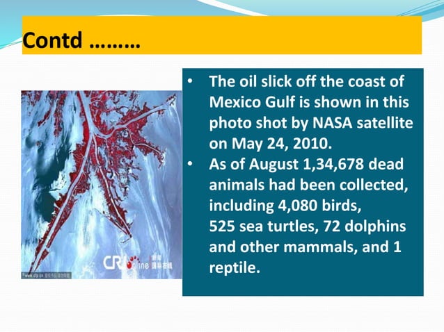 Deepwater horizon oil spill | Gulf of mexico oil spill | The BP oil ...