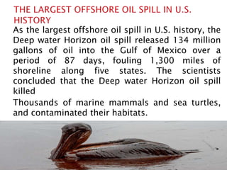 Deep Water Horizon Oil Spill (B. P. Oil Spill) | PPTX