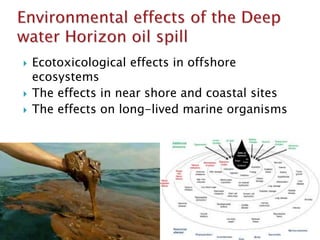 Deep Water Horizon Oil Spill (B. P. Oil Spill) | PPTX