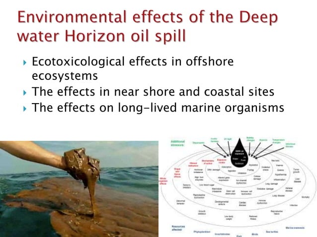 Deep Water Horizon Oil Spill (B. P. Oil Spill) | PPTX
