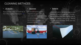 Deepwater Horizon Oil Spill.pptx