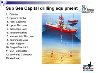 Deepwater sub sea capital equipment | PDF