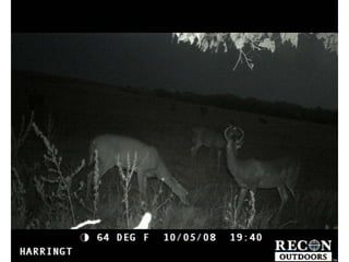 Deer Camera Slide Show | PPTX