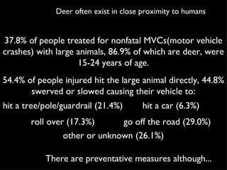 Deer Safety And Preservation Powerpoint | PPT