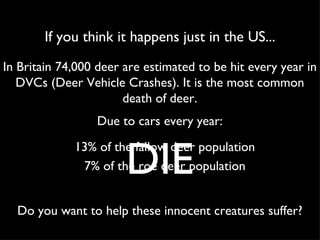 Deer Safety And Preservation Powerpoint | PPT