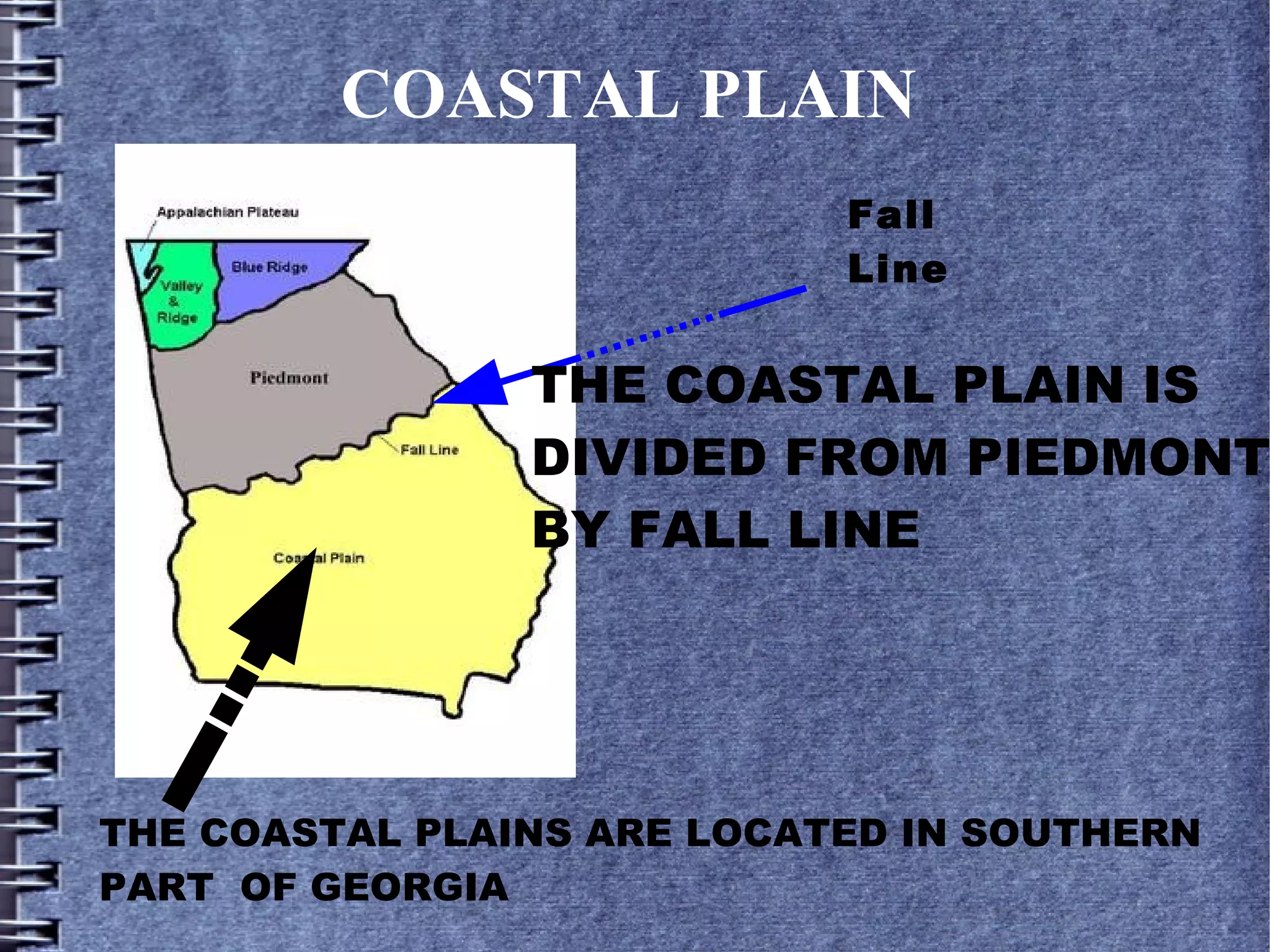 Georgia Coastal Plains- Deeya Mepani | ODP