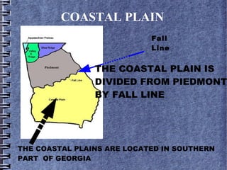 Georgia Coastal Plains- Deeya Mepani | ODP | Geography | Science