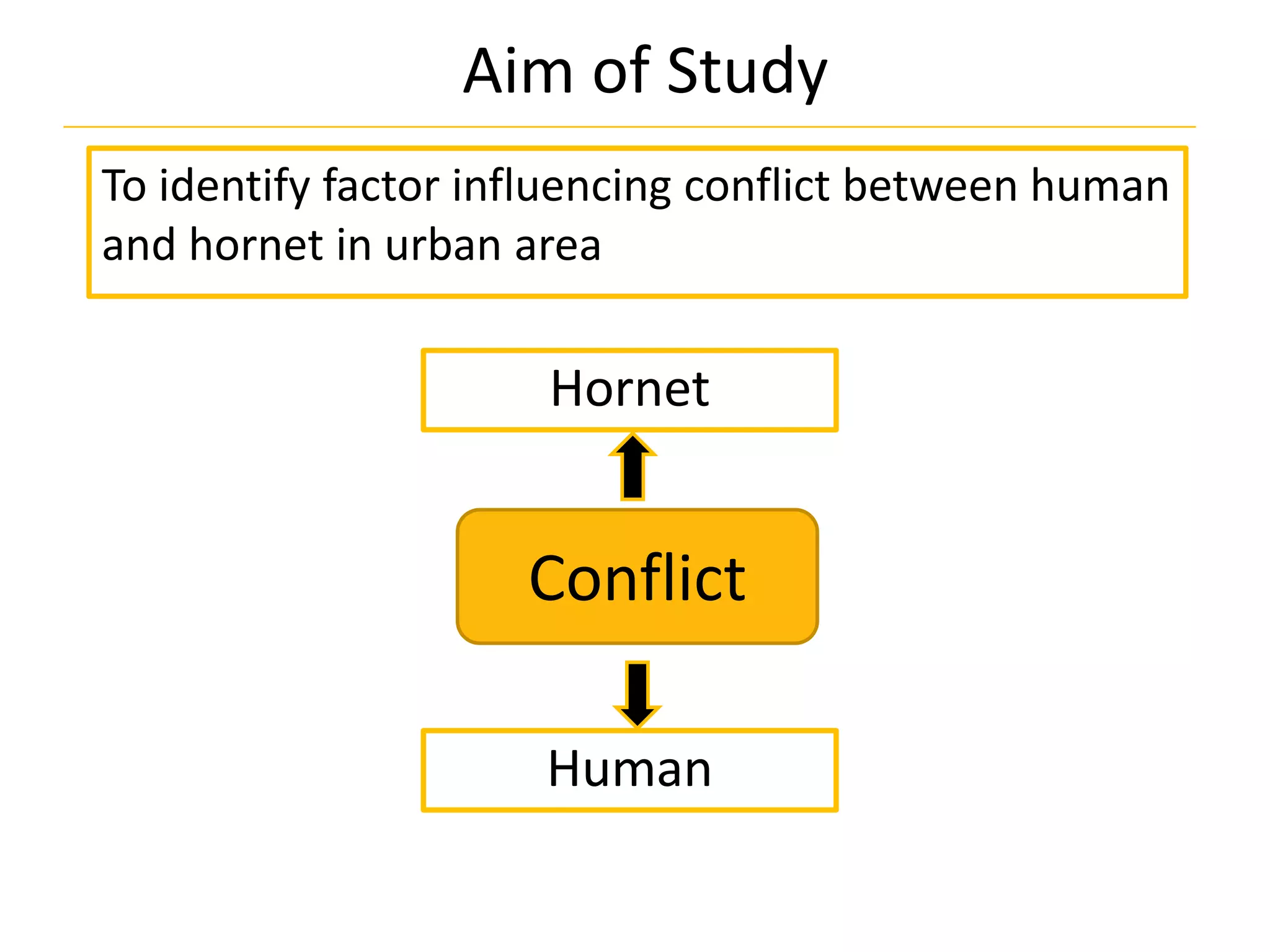 Mechanism of human-hornet conflicts in an urban ecosystem | PPT