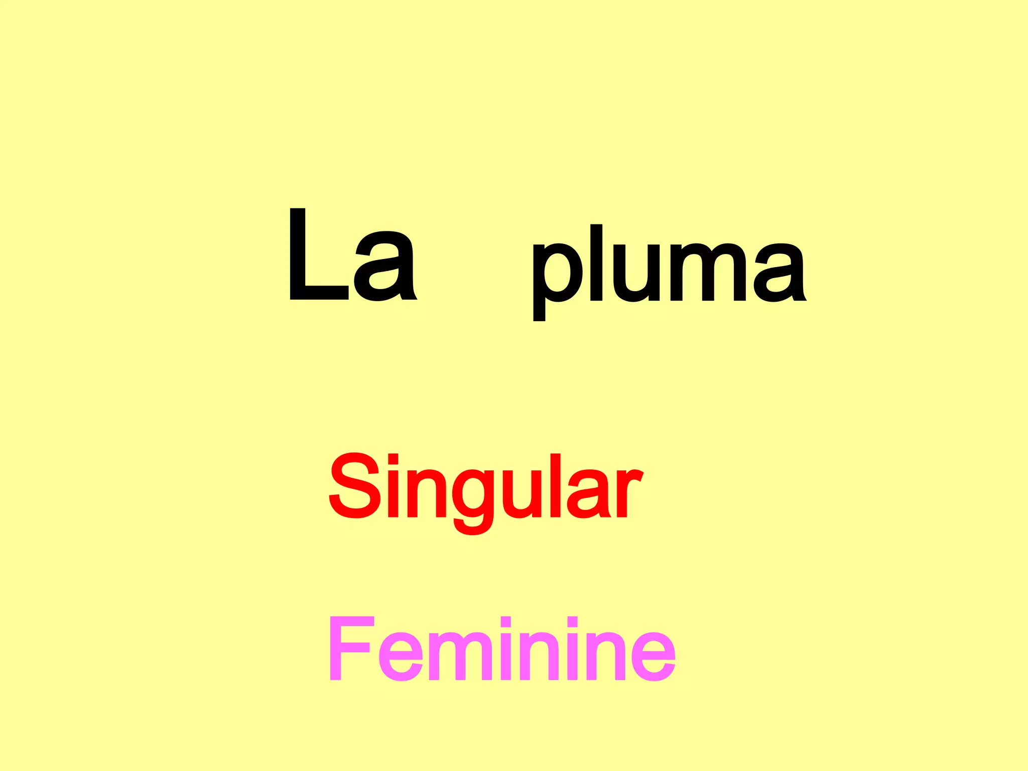 Def articles & gender & singular plural practice | PPTX