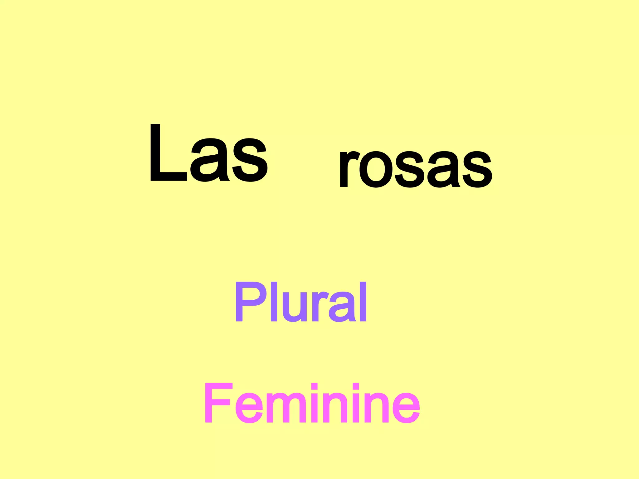 Def articles & gender & singular plural practice | PPTX