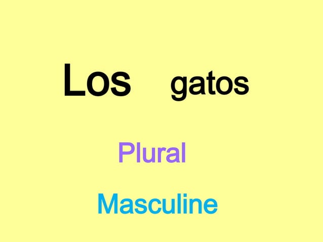 Def articles & gender & singular plural practice | PPTX