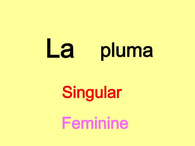 Def articles & gender & singular plural practice | PPTX