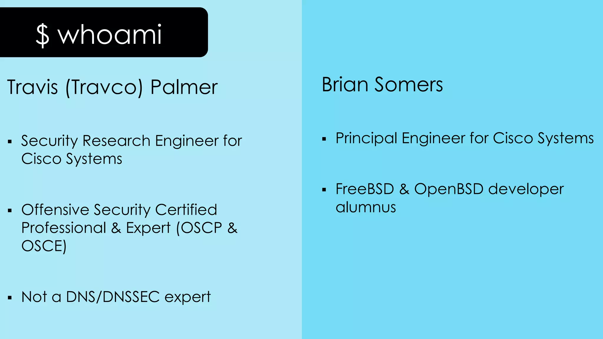 DEF CON 27 - TRAVIS PALMER - first try dns cache poisoning with ipv4 and ipv6 fragmentation | PPT