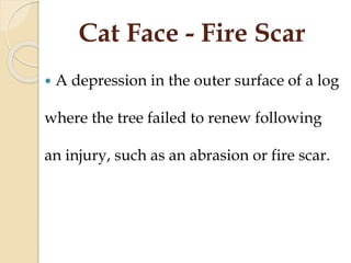 Defect and decay in woods | PPT