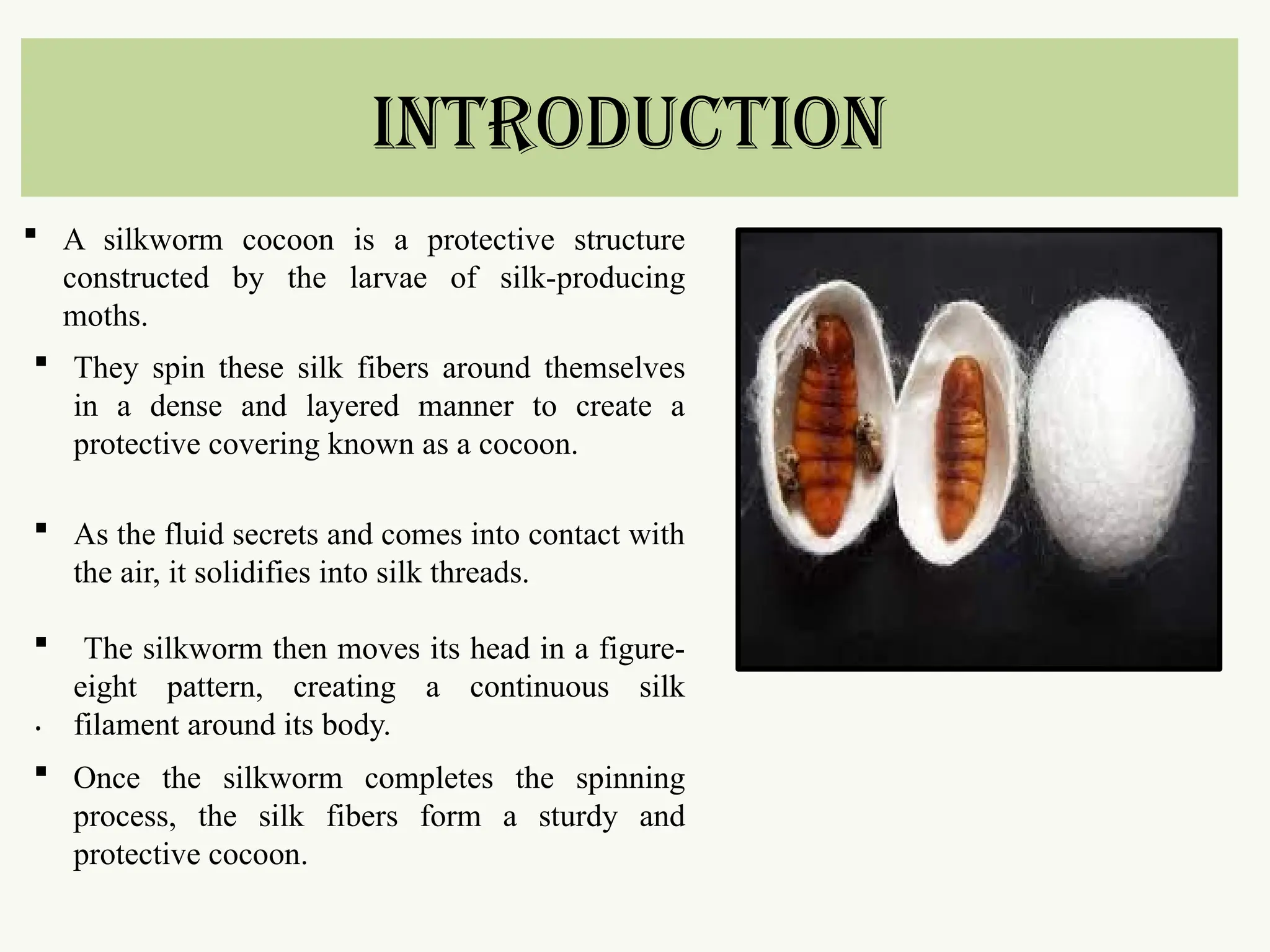 DEFECTIVE COCOON PPT.pptx sericulture core paper | PPTX