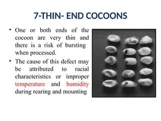 DEFECTIVE COCOON PPT.pptx sericulture core paper | PPTX | Needlework ...