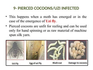 DEFECTIVE COCOON PPT.pptx sericulture core paper | PPTX | Needlework ...