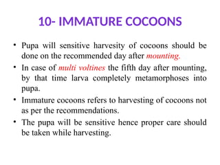 DEFECTIVE COCOON PPT.pptx sericulture core paper | PPTX | Needlework ...