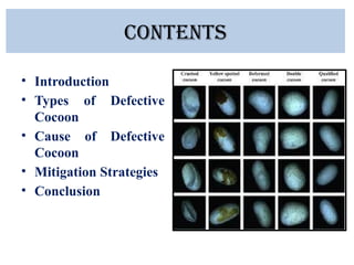 DEFECTIVE COCOON PPT.pptx sericulture core paper | PPTX | Needlework ...