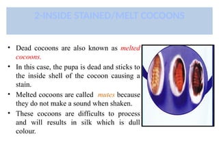 DEFECTIVE COCOON PPT.pptx sericulture core paper | PPTX | Needlework ...