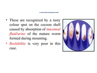 DEFECTIVE COCOON PPT.pptx sericulture core paper | PPTX | Needlework ...