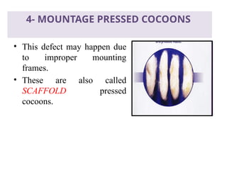 DEFECTIVE COCOON PPT.pptx sericulture core paper | PPTX | Needlework ...