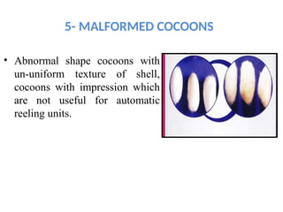 DEFECTIVE COCOON PPT.pptx sericulture core paper | PPTX | Needlework ...