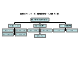 Defective Colour Vision 1 | PPT