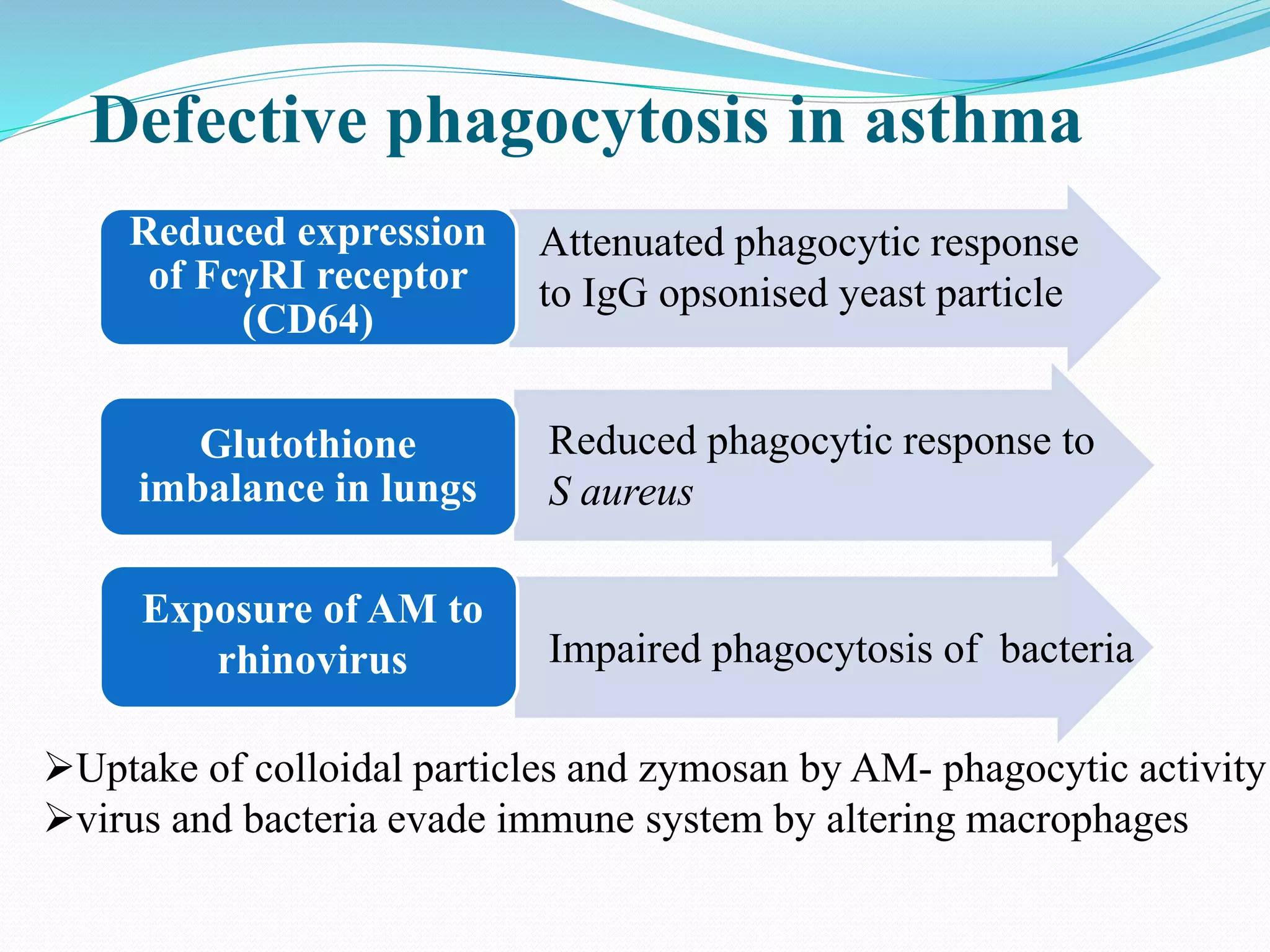 Defective phagocytosis in airways disease | PPT