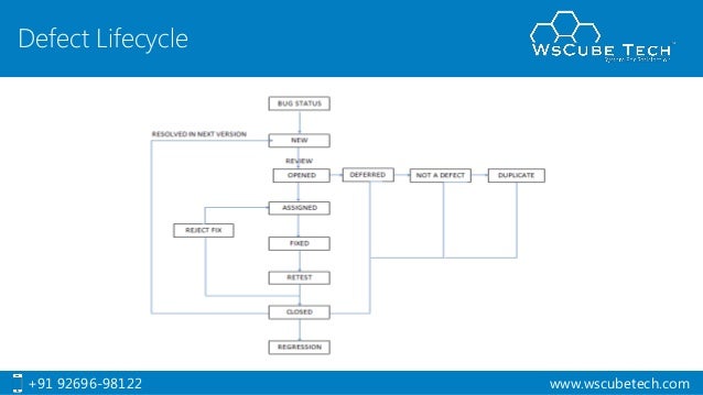 Defect Lifecycle Defect Attribute Defect Tracking In Manual Testi…