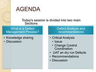 IT Quality Testing and the Defect Management Process | PPTX