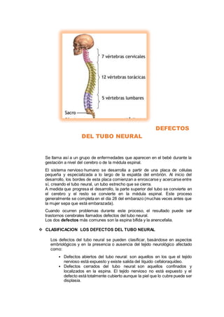 Defecto del tubo neural | DOCX